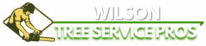 Tree Services in Wilson, NC – Tree Services Wilson County, NC | Tree ...