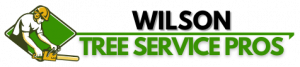 Tree Services in Wilson, NC – Tree Services Wilson County, NC | Tree ...